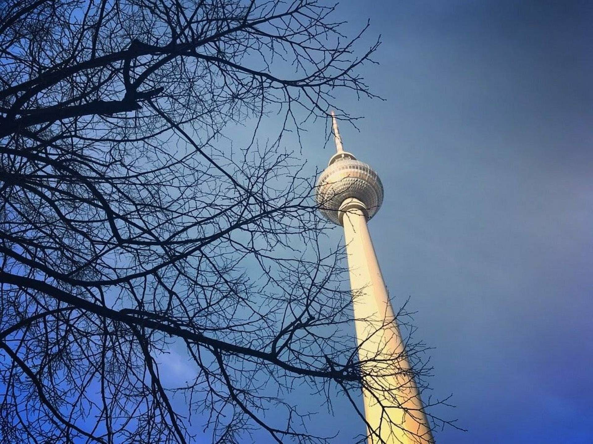 Berlyno televizijos bokštas