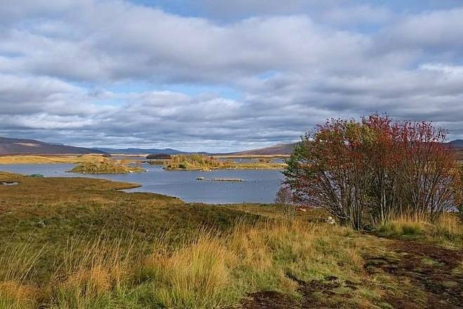 Rannoch Moor Viewpoint